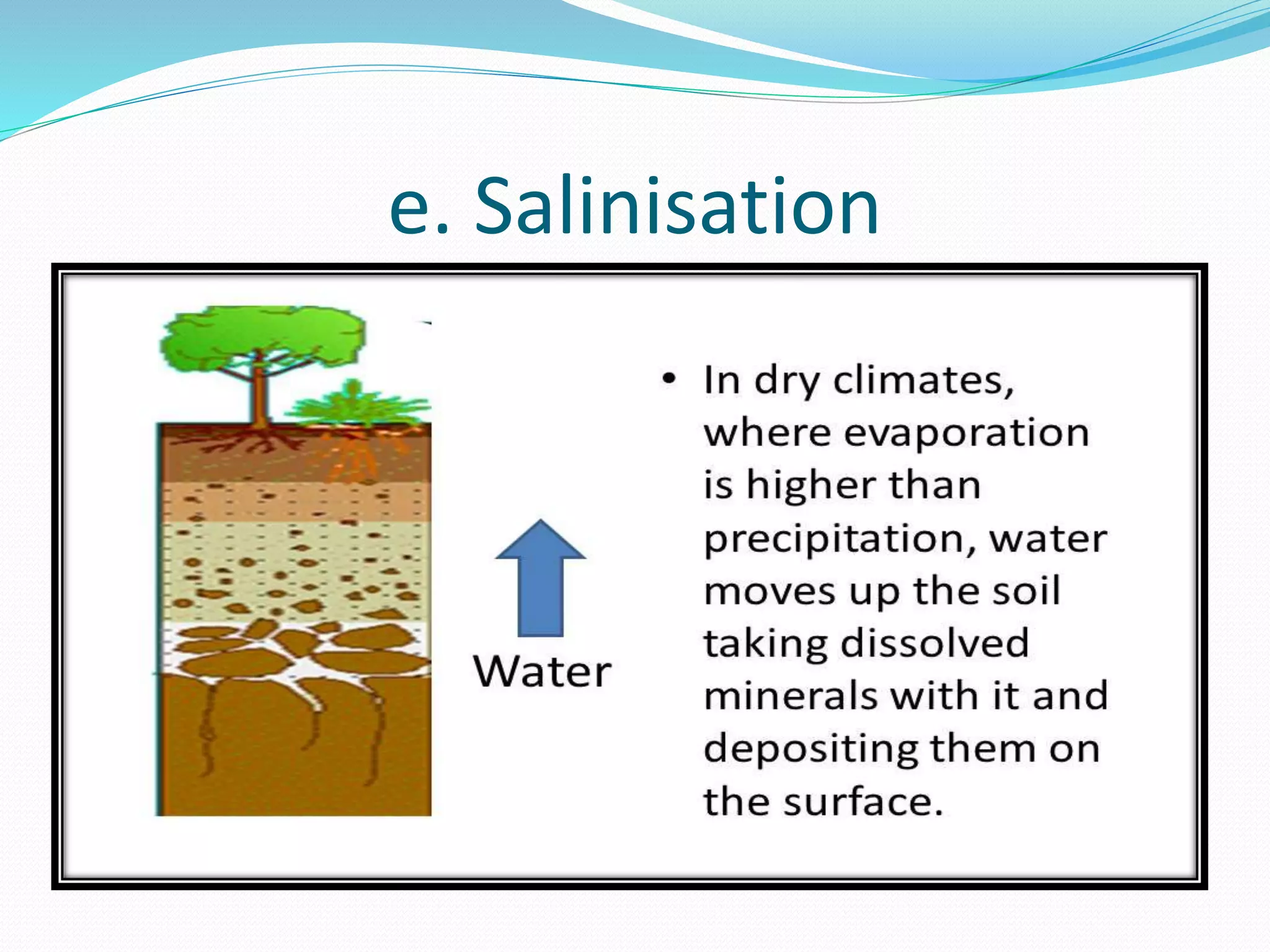 SOIL GENESIS & PROFILE | PPTX