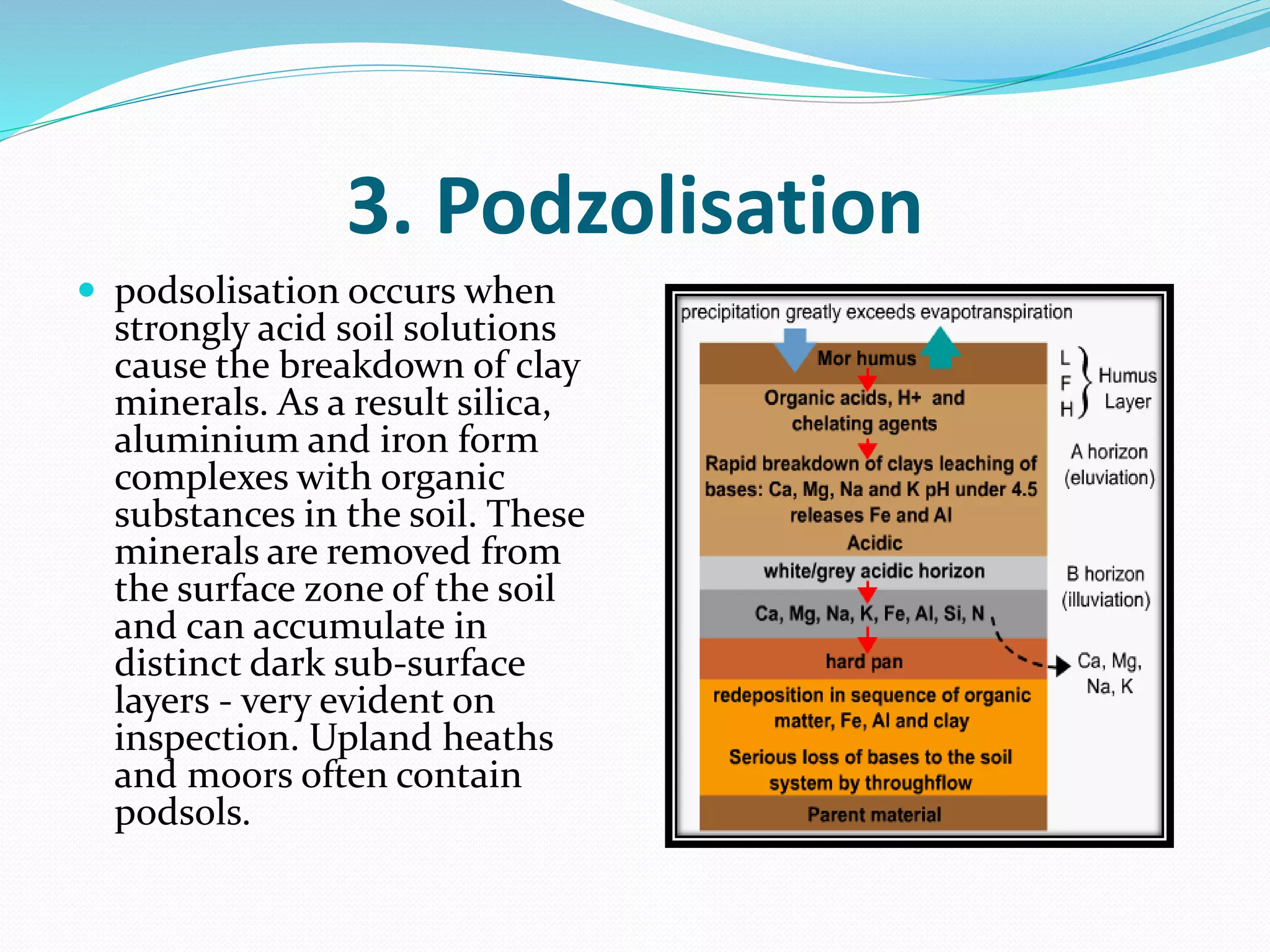 SOIL GENESIS & PROFILE | PPTX