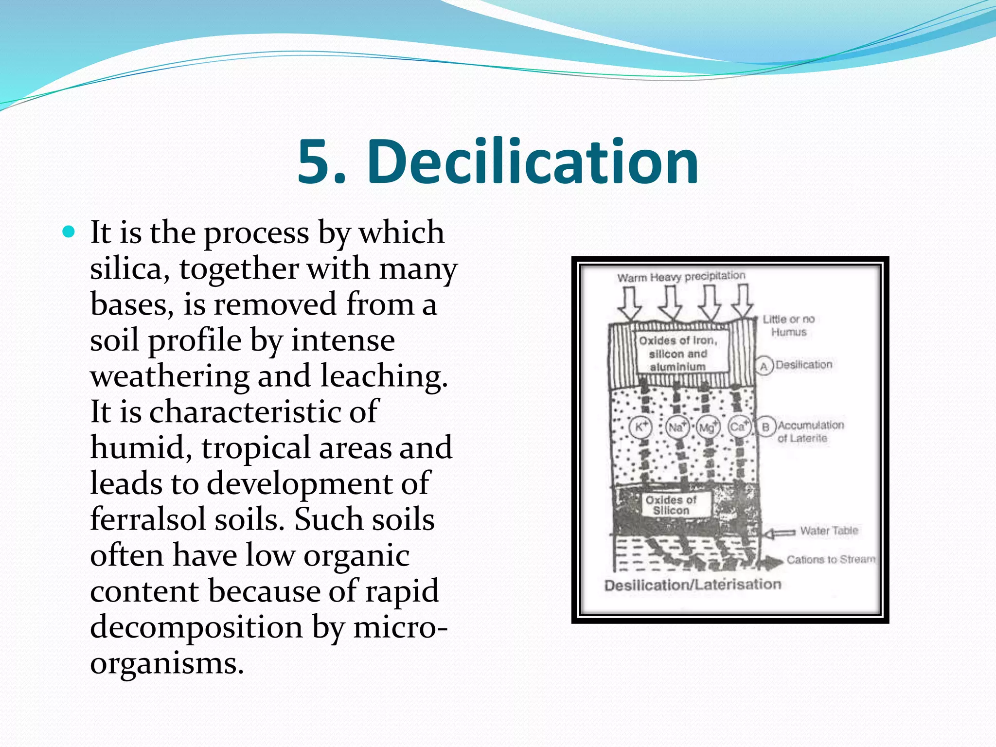 SOIL GENESIS & PROFILE | PPTX