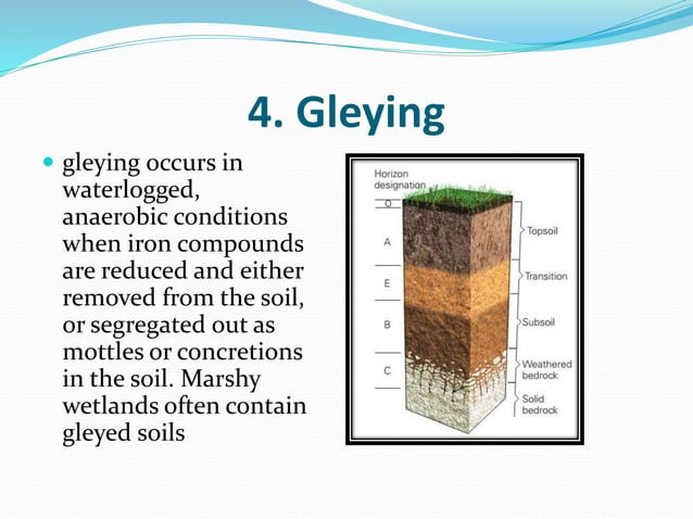 SOIL GENESIS & PROFILE | PPTX | Gardening | Home & Garden