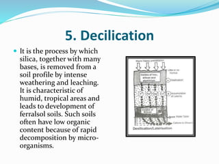 SOIL GENESIS & PROFILE | PPTX