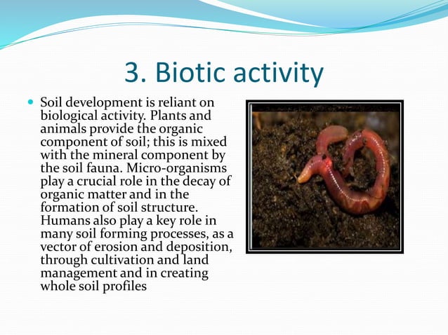 SOIL GENESIS & PROFILE | PPTX | Gardening | Home & Garden