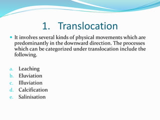 SOIL GENESIS & PROFILE | PPTX