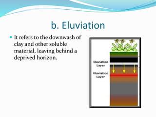 SOIL GENESIS & PROFILE | PPTX