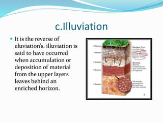 SOIL GENESIS & PROFILE | PPTX
