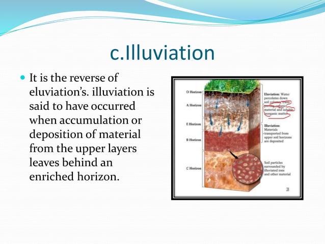 SOIL GENESIS & PROFILE | PPT