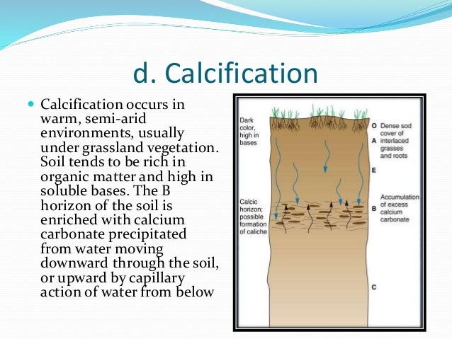 SOIL GENESIS & PROFILE