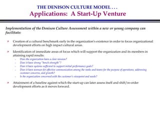 Denison Cultural Survey Overview For reference.ppt