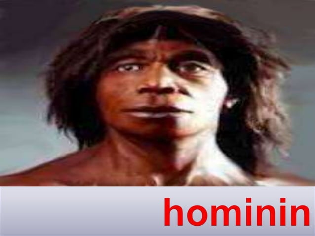 Denisova hominin | PPT