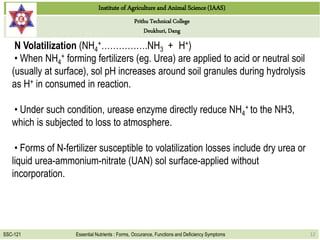 Denitrification | PPTX