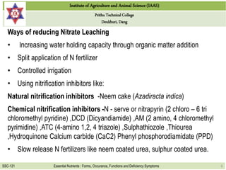Denitrification | PPTX