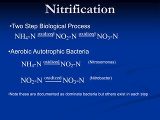 Denitrification.ppt