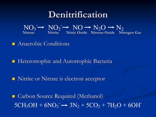 Denitrification.ppt