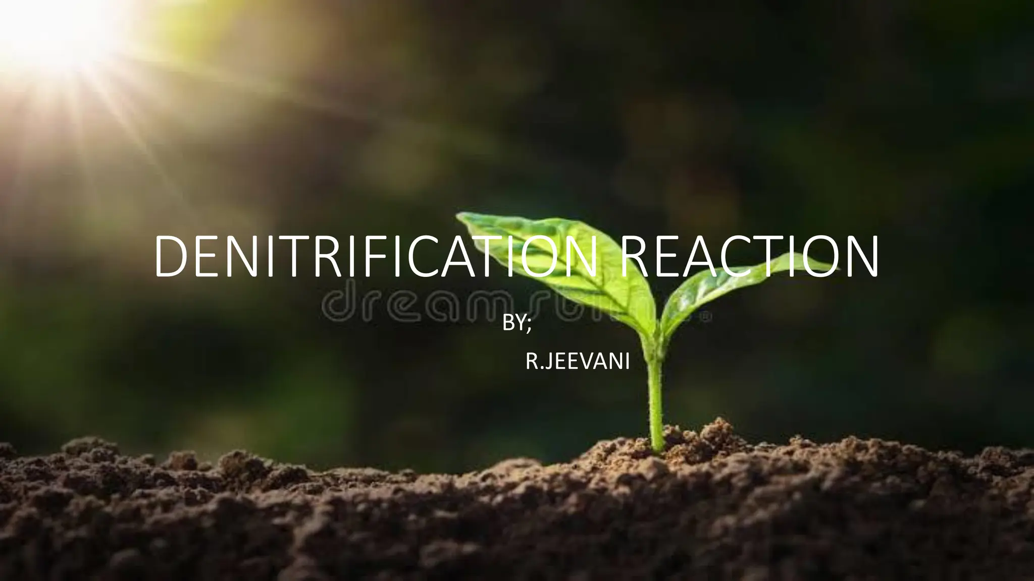 DENITRIFICATION REACTION - SOIL MICROBIOLOGY.pdf