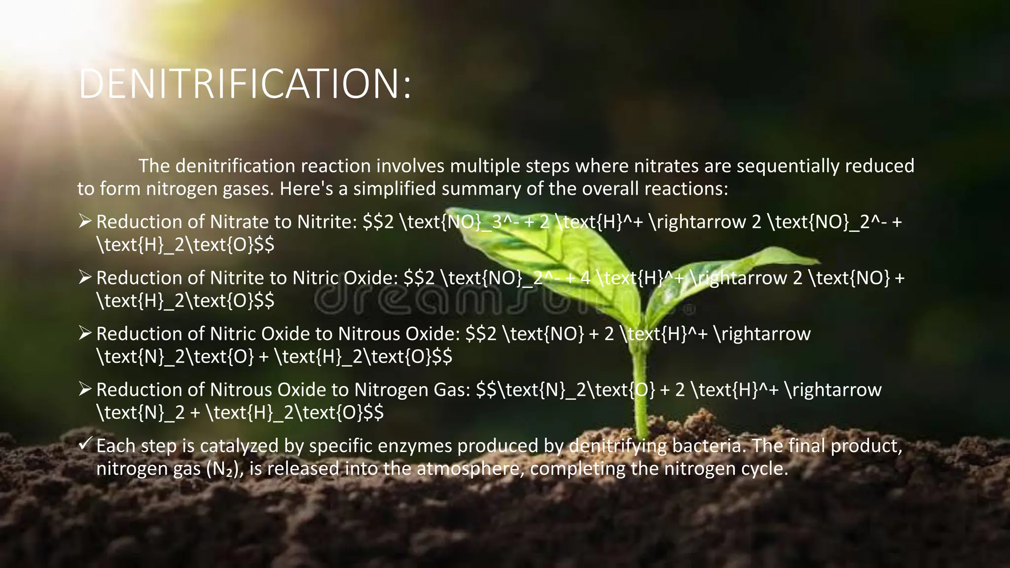 DENITRIFICATION REACTION - SOIL MICROBIOLOGY.pdf