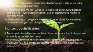 DENITRIFICATION REACTION - SOIL MICROBIOLOGY.pdf