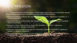 DENITRIFICATION REACTION - SOIL MICROBIOLOGY.pdf