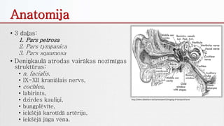 "Deniņu kaula lūzumi" | PPTX