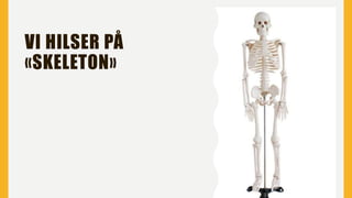 Den magiske kroppen - Skjelettet | PPTX