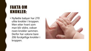 Den magiske kroppen - Skjelettet | PPTX