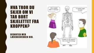 Den magiske kroppen - Skjelettet | PPTX