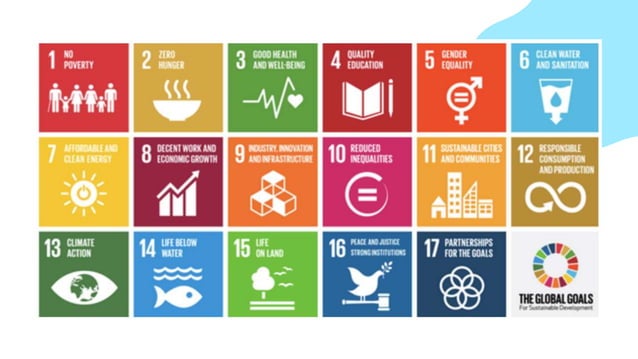 Denmark: Environmental Impact & Results.pptx