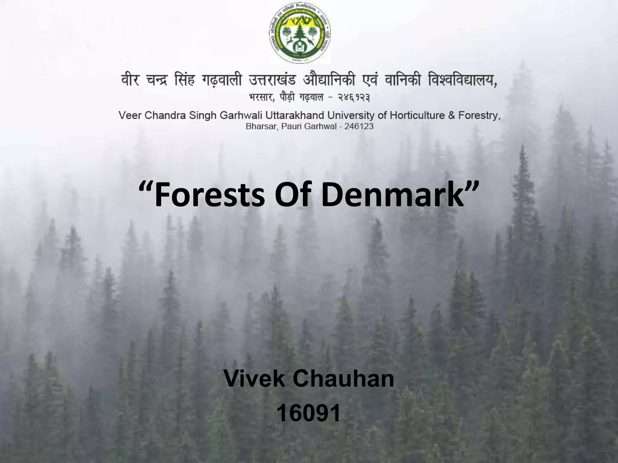 Denmark forests: An Insight. | PPT