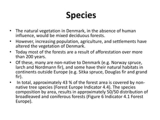 Denmark forests: An Insight. | PPT