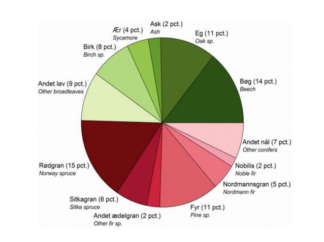 Denmark forests: An Insight. | PPT