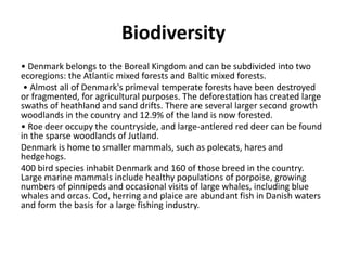 Denmark forests: An Insight. | PPT