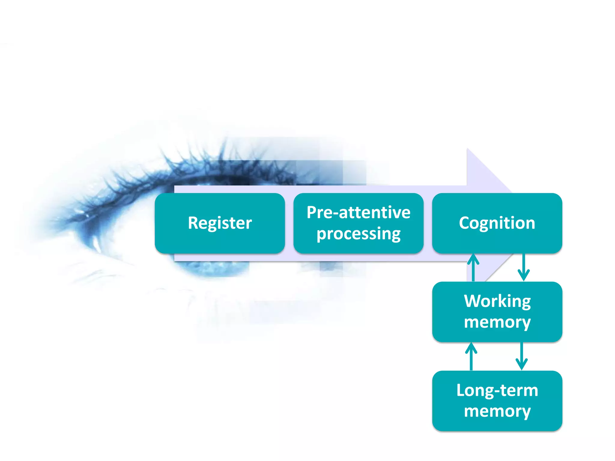 The Role of Pre-Attention in UI Design | PPTX