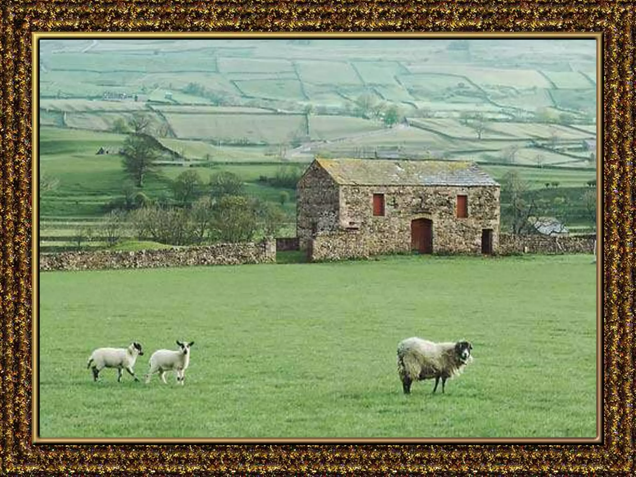 Dennis Barloga | PPSX