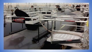 METHODS & TECHNIQUES FOR SAFE LOADING OR UNLOADING OF RAIL CARS | PPT