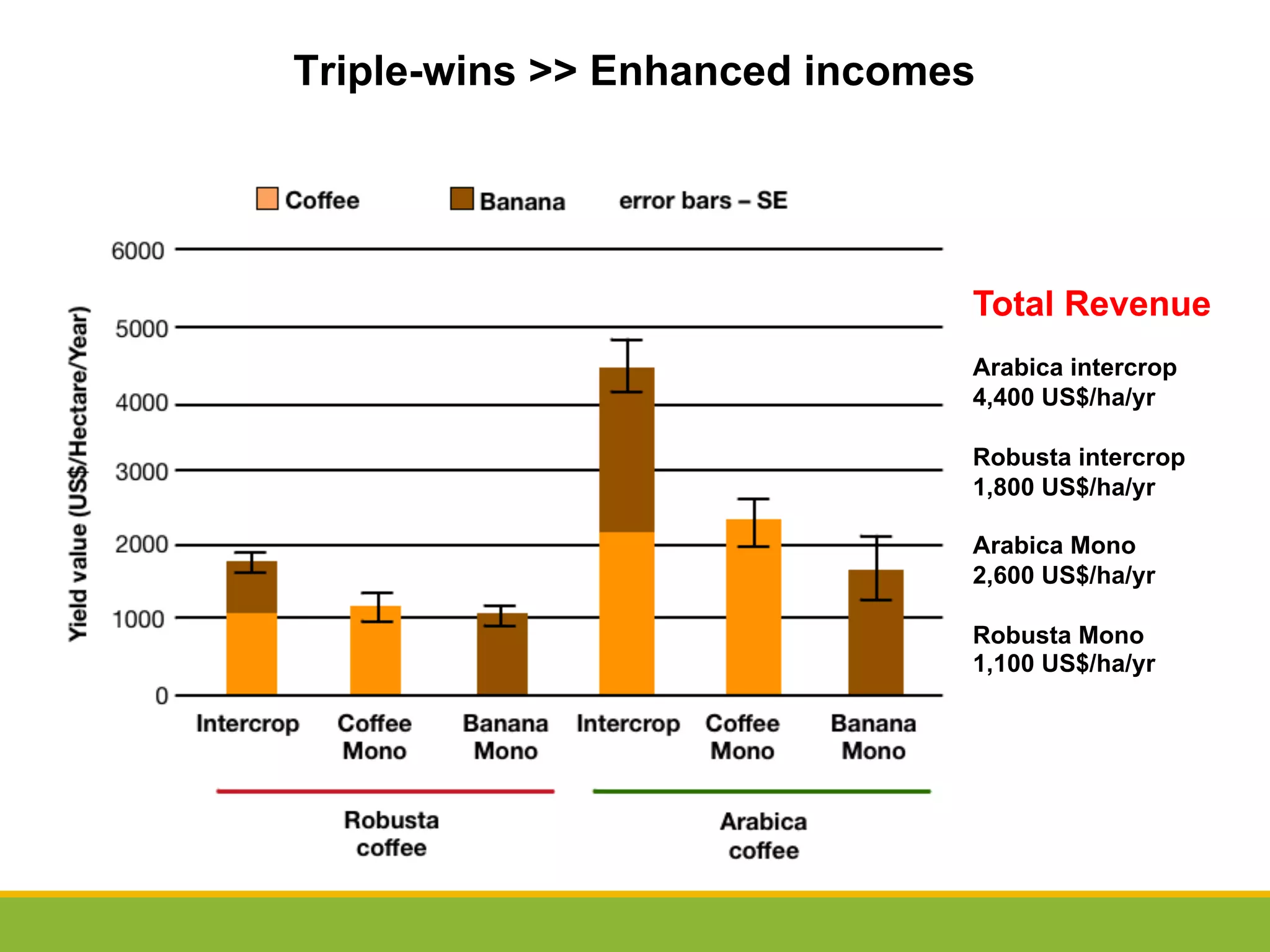 Coffee Banana Intercropping: An Intimate Relationship with Triple Wins ...