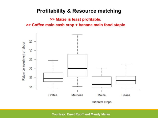 Coffee Banana Intercropping: An Intimate Relationship with Triple Wins ...