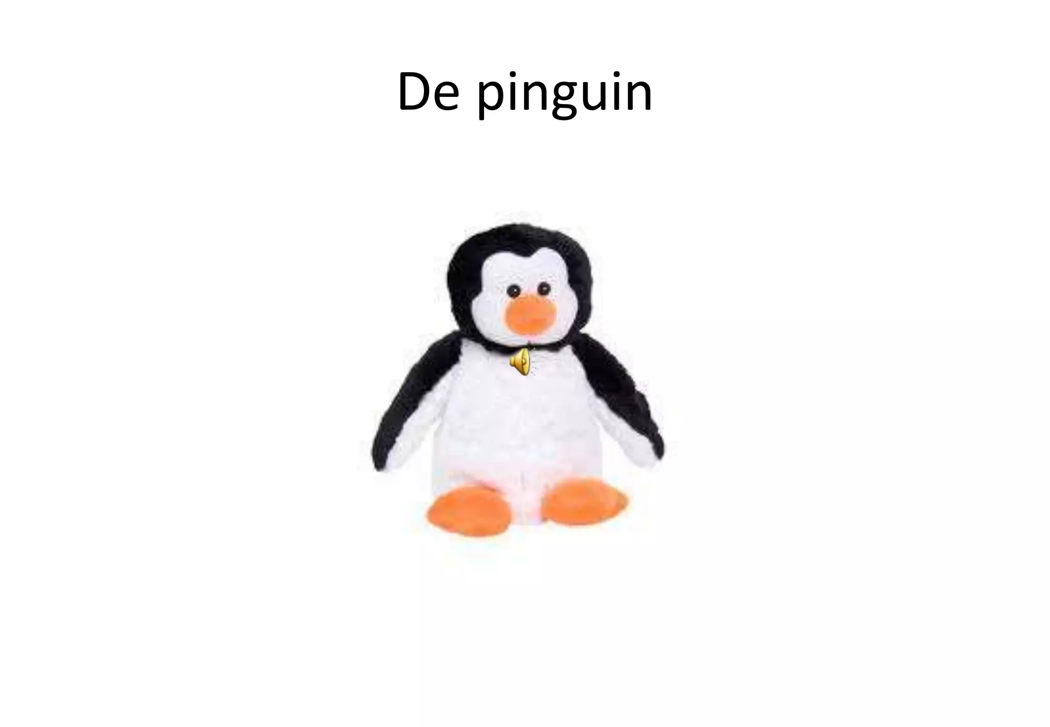 De noord en zuidpool | PPTX