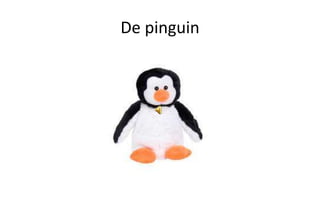 De noord en zuidpool | PPTX