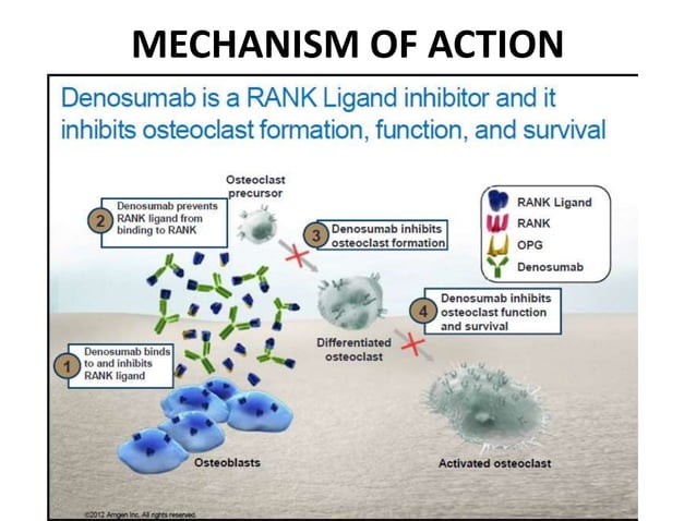 Denosumab | PPTX