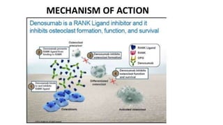 Denosumab | PPT