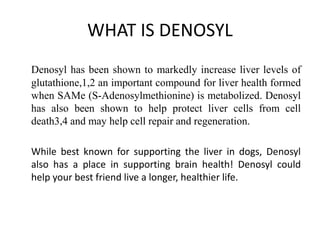 Denosyl | PPT