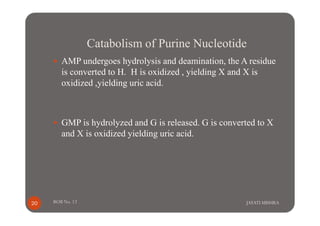 De novo and salvage pathway of purines | PDF