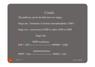 De novo and salvage pathway of purines | PDF