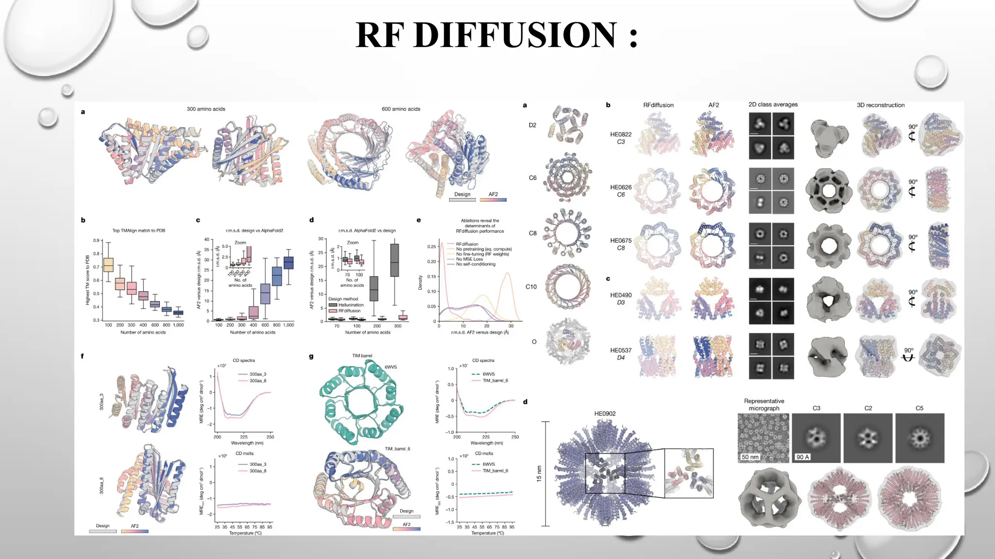 De novo design of protein structure and function.pptx