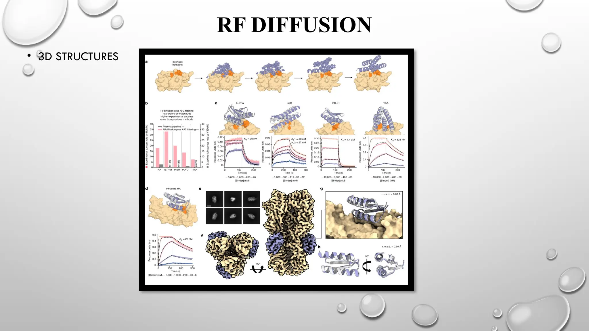 De novo design of protein structure and function.pptx