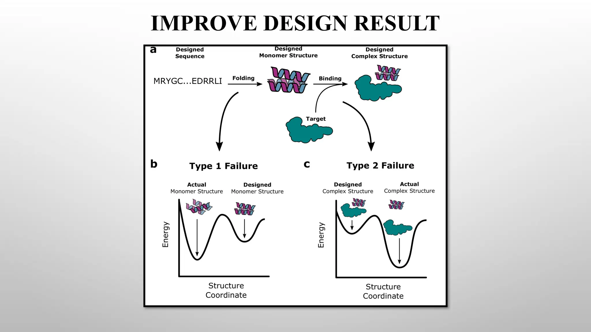 De novo design of protein structure and function.pptx