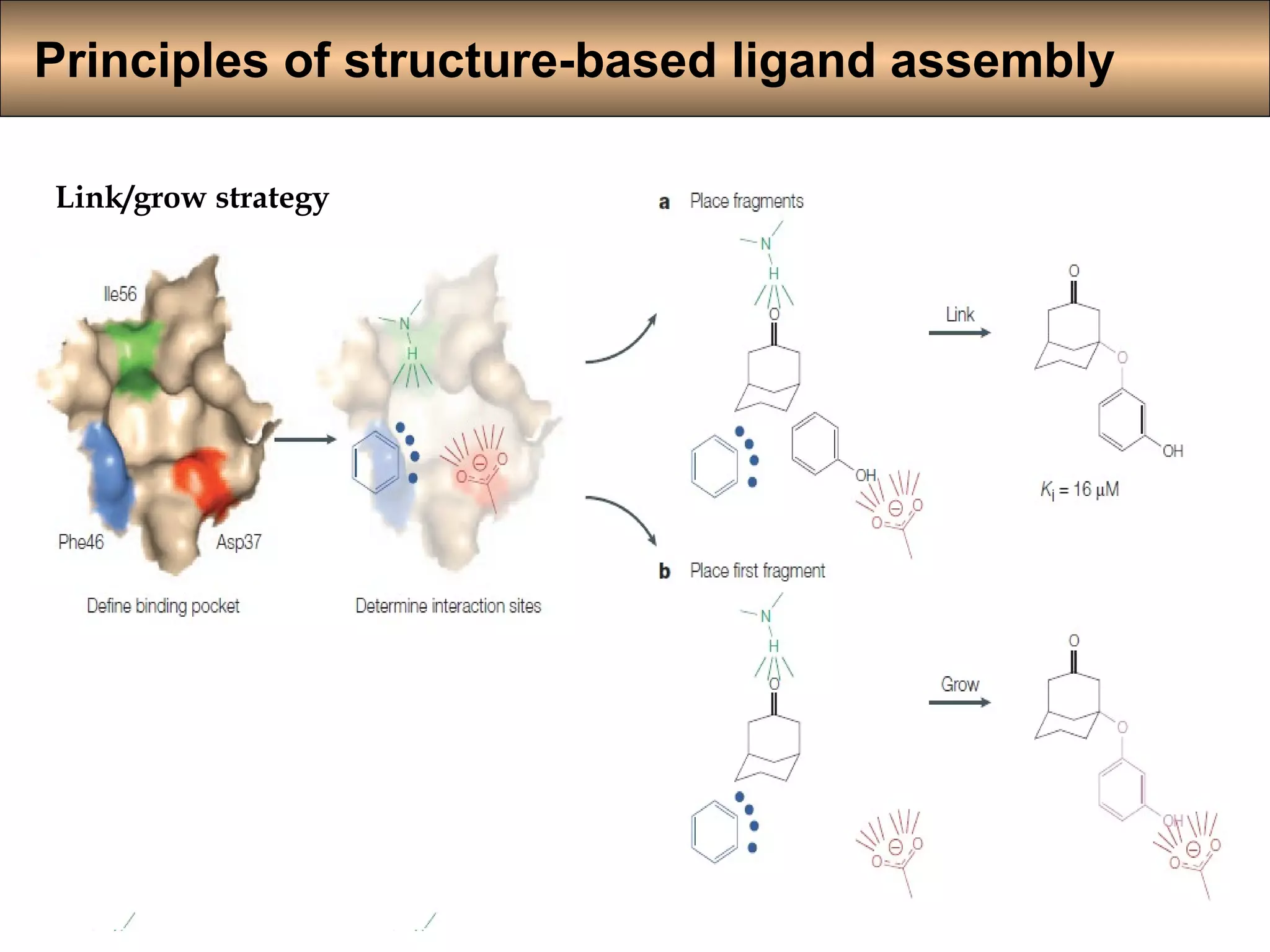 De novo drug design | PPT