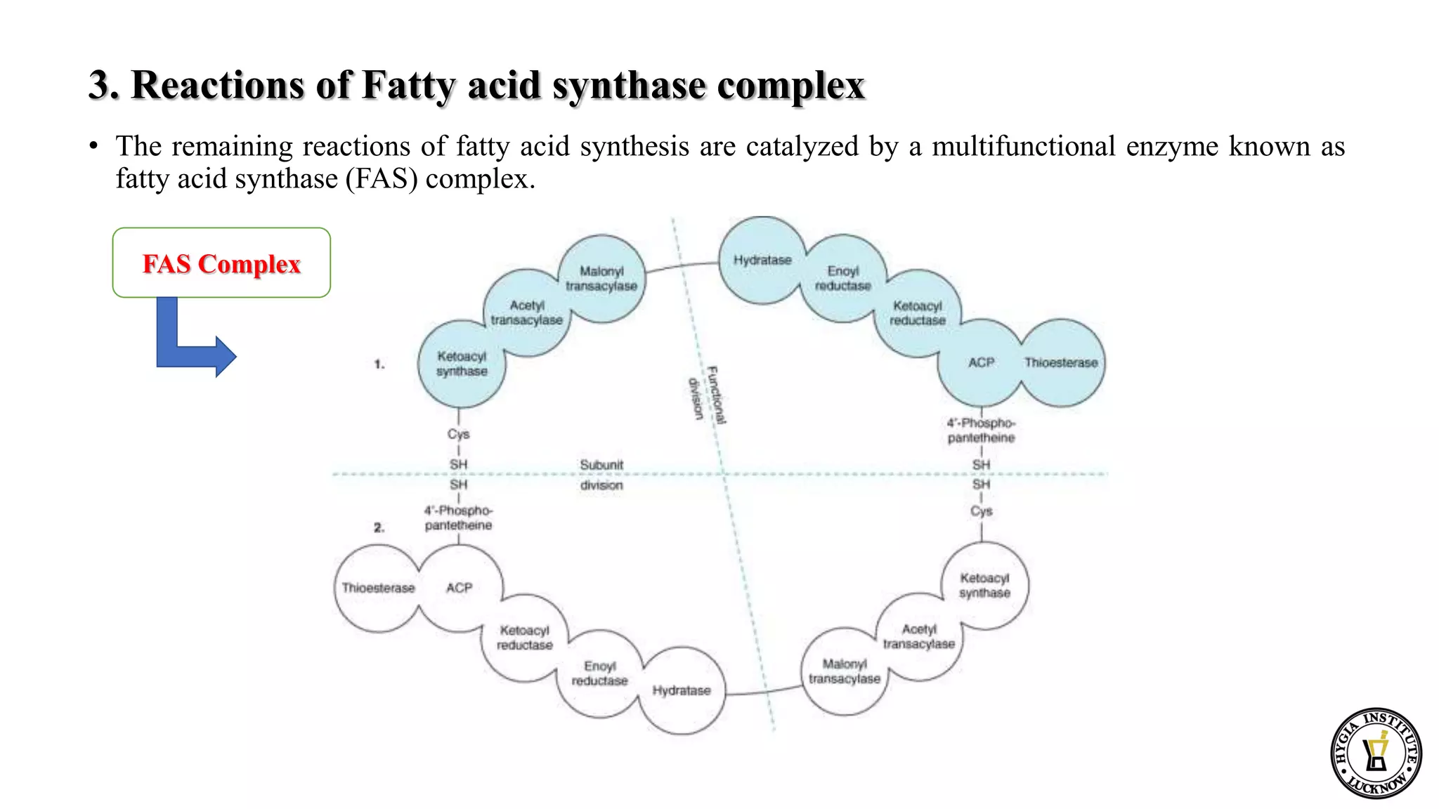 De Novo fatty acids.pptx