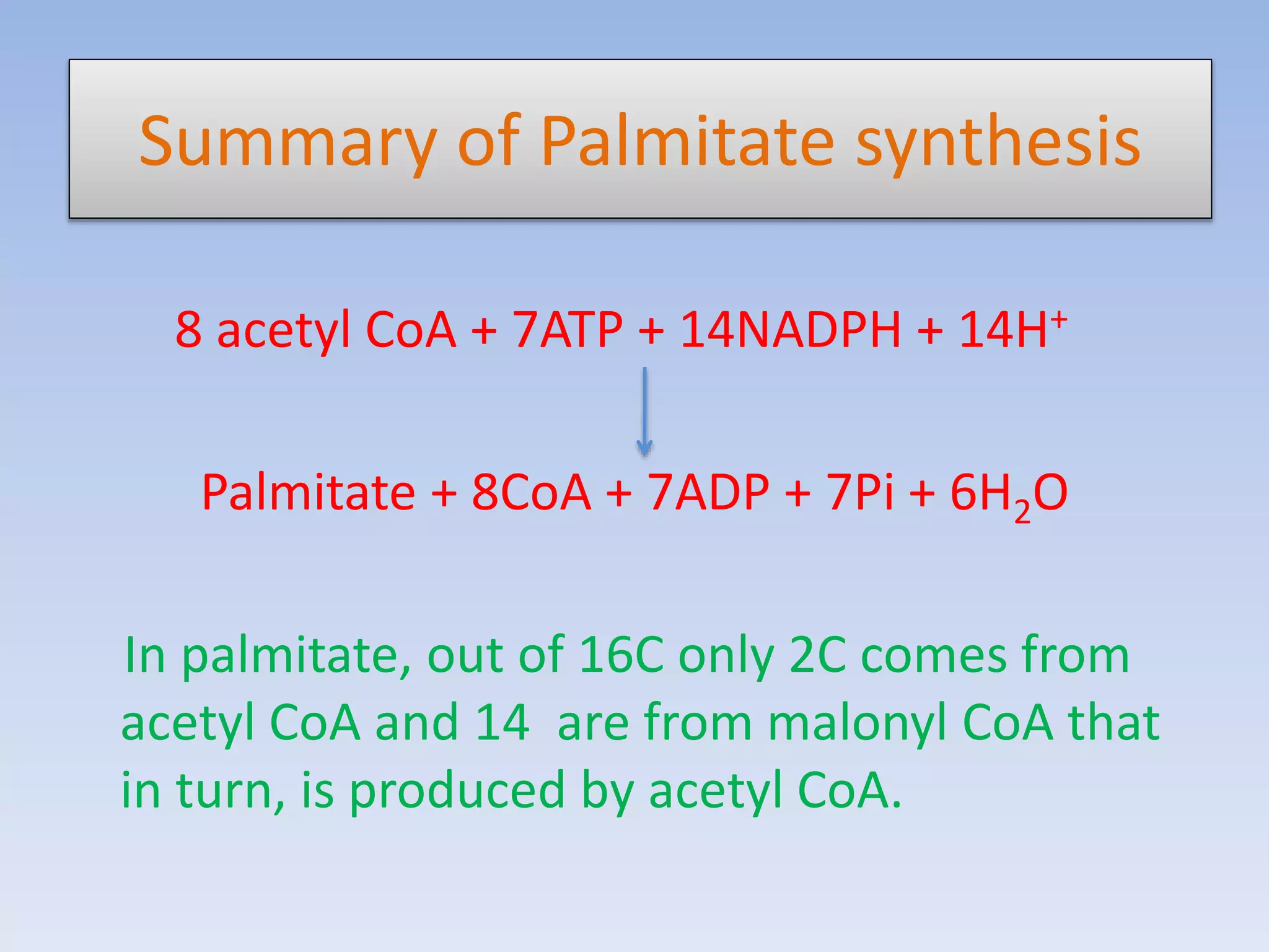 De novo fatty acid synthesis (Palmitic acid) | PPTX