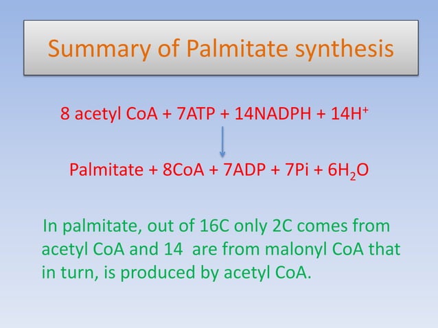 De novo fatty acid synthesis (Palmitic acid) | PPTX