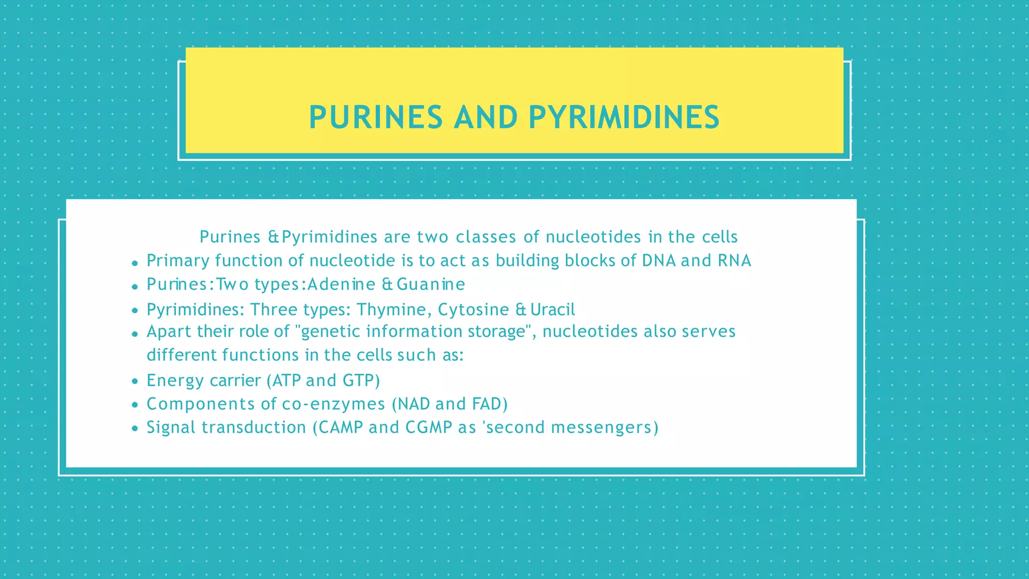de novo pathway for purine biosynthesis.pptx